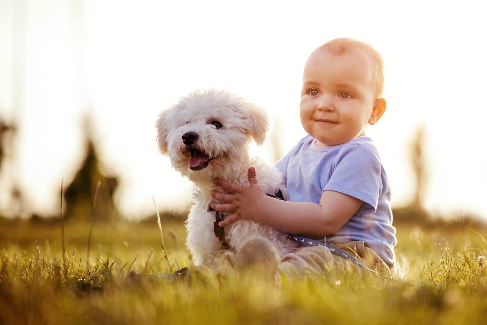 Hopeful Dreams Family Puppies | Family Raised Puppies